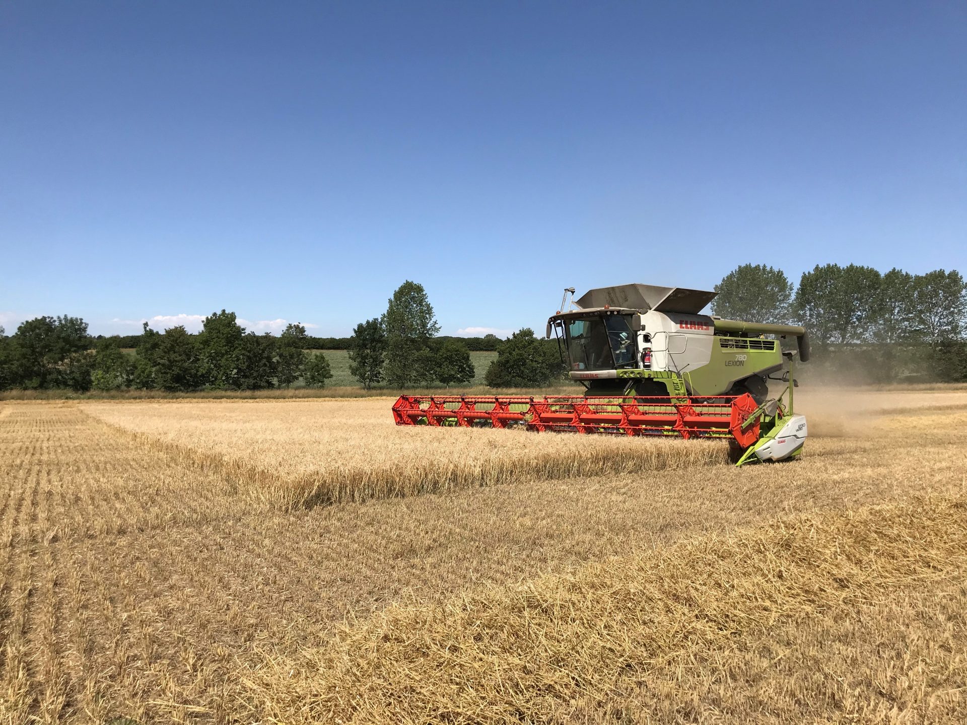 Harvest 2020 in your words - Hardcastle Burton